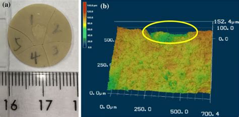Crack Surface Observation Of Llzo The Pieces Of The Sample After Ror