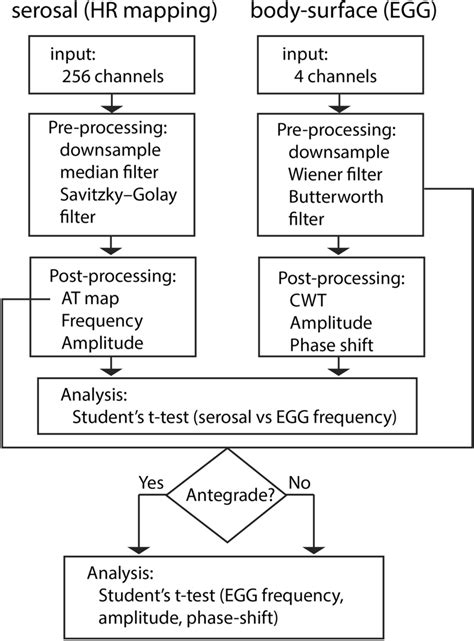 The Flowchart Of The Experimental Signal Processing And Analysis For