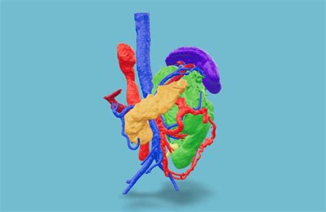 Success Stories From Our Recent Success Stories Stefan Smiljanoski Posted On The Topic Linkedin