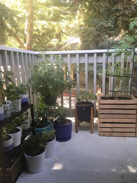 My Patio Garden Scrolller