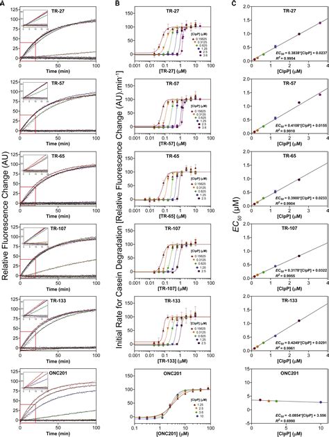 Potent Clpp Agonists With Anticancer Properties Bind With Improved Structural Complementarity