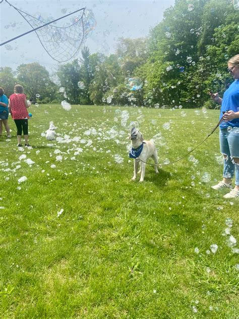 Bubble Bus Bubble Bus Added A New Photo