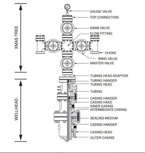 Well Head And Xmas Tree Ely Ramirez Pmp® Cwi® Asnt Level Iii® Api®nbic®