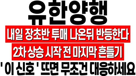 유한양행 주가 전망 내일 갭하락 대응 필수 미리 확인하고 준비하세요 2차 상승 전 마지막 흔들기 유한양행 주식 분석 유한양행 목표가 유한양행 인수합병 Youtube