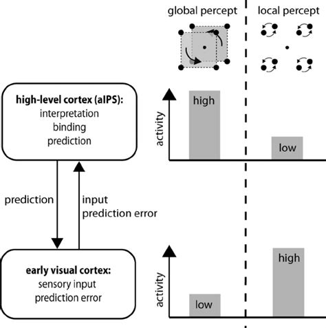 Interpretation Of Aips And Visual Cortex Activity In Context Of Download Scientific Diagram