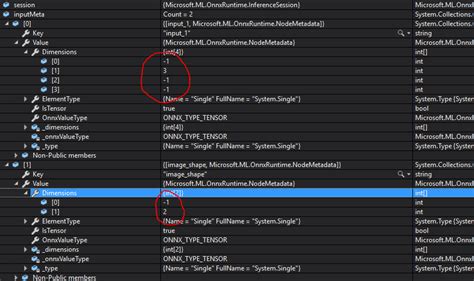 C Inference Fails With Yolov3 Model · Issue 1770 · Microsoft Onnxruntime · Github