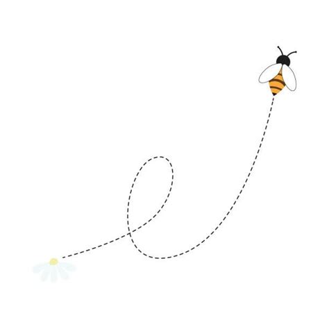 Bee Flying Path A Bee Flying In A Dotted Line The Flight Path Of A Bee To Honey 2539555 Vector