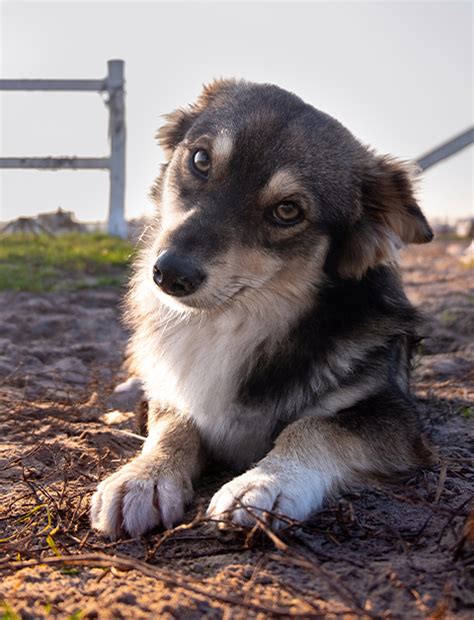 ОП Екоравновесие Столична община