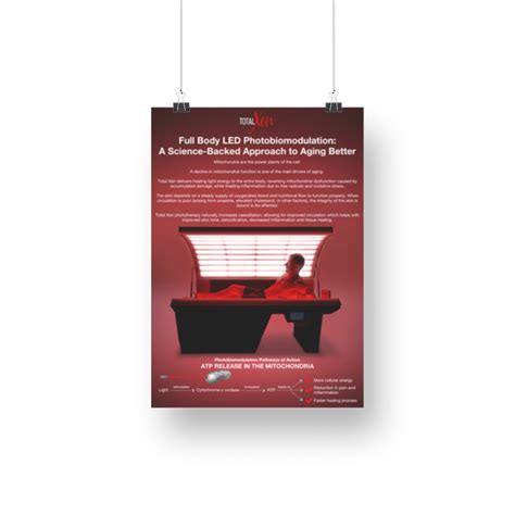 Xen And Total Xen A2a3a4 Posters Aesthetic Bureau