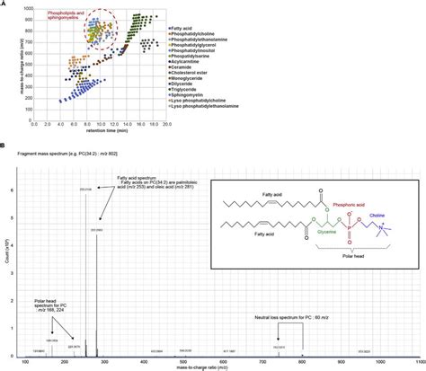 Example Of Lc Qtofms Data A The Retention Time Of Lipid Classes B Download Scientific