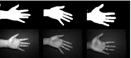 Color Based Segmentation Download Scientific Diagram