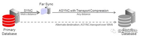 oracle数据库容灾利器之 far sync 墨天轮