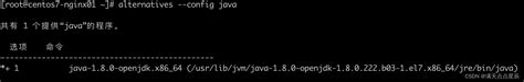 如何用alternatives命令进行java版本的转换 alternatives config java csdn博客