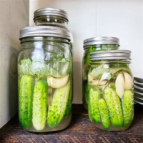 Make It Monday 12 Diy Bubbies Fermented Pickles