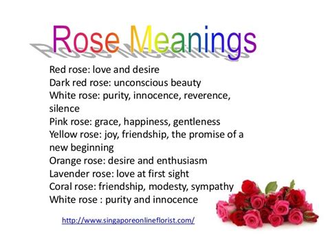What Is The Meaning Of Rose In English At Nancy Sheridan Blog
