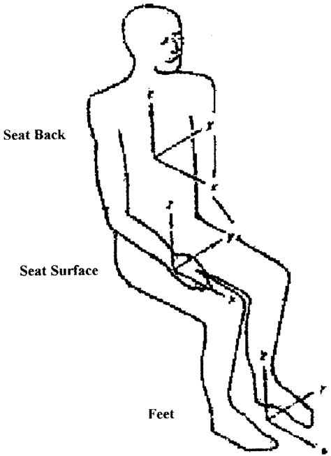 Whole Body Vibration Biodynamic Coordinate System For Seated Subject Download Scientific Diagram