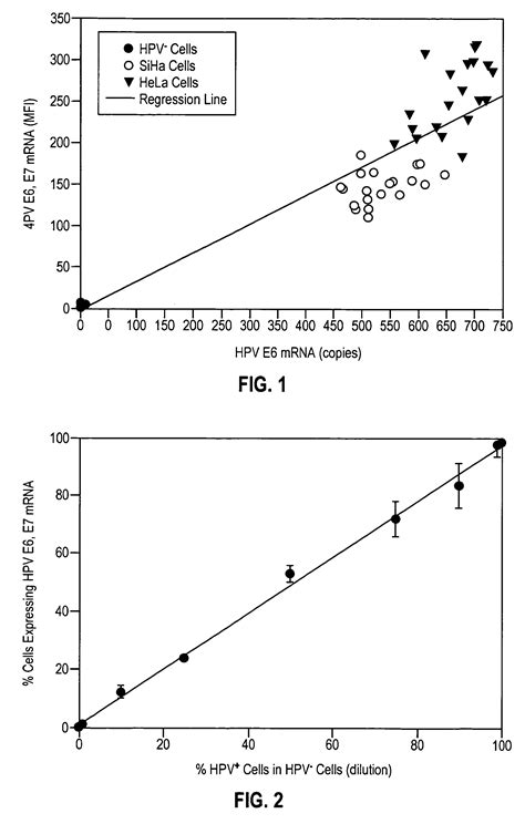 Hpv E6 E7 Mrna Assay And Methods Of Use Thereof Eureka Patsnap