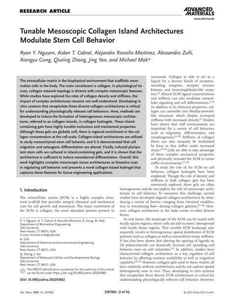 Tunable Mesoscopic Collagen Island Architectures Modulate Stem Cell Behavior Request Pdf