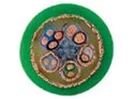 Imágenes Seccionales A Través Del Cable Chainflex® Igus Chile