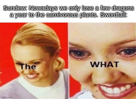 Wingsoffirememes Memes And S Imgflip