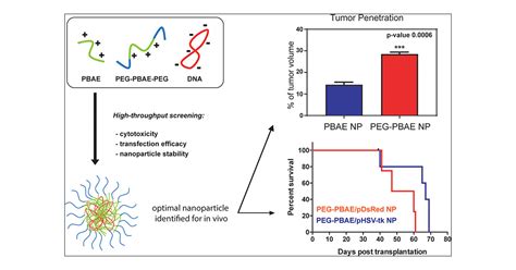 Poly Ethylene Glycol Poly Beta Amino Ester Based Nanoparticles For Suicide Gene Therapy