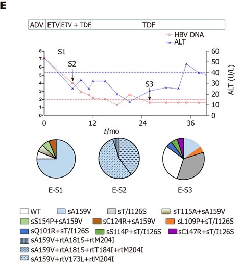 Evolution Of Drug Resistant Hepatitis B Virus Strains And Clinical