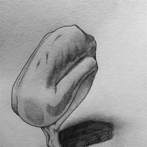 Male Order Bride Sororise