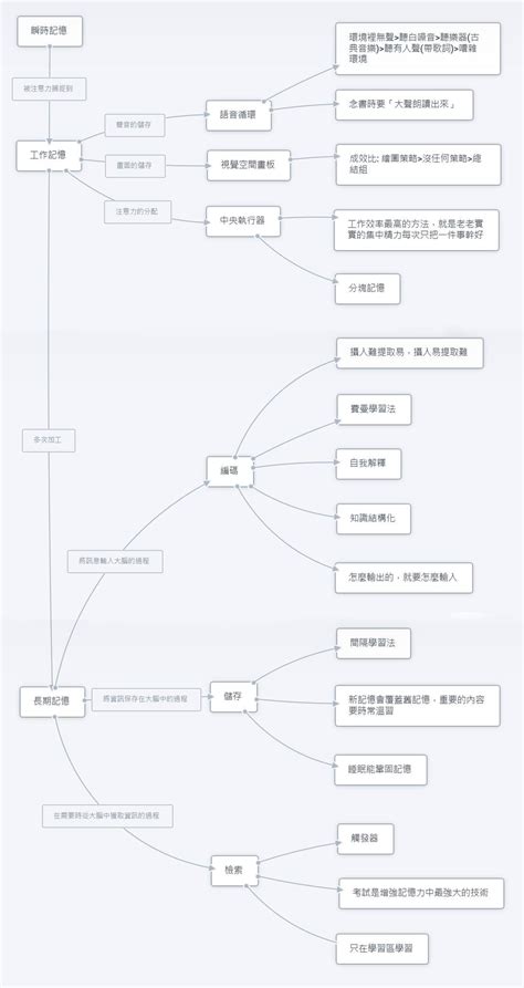 如何用腦科學方法提升學習能力？ — — Domyweb多米 摘要 By Pochienko Riddick Wu Medium