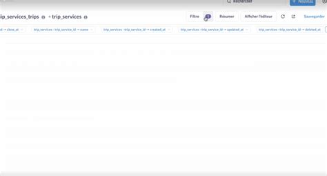 Nan As Enum Value Fail In Field Filter Bug Reports Metabase Discussion