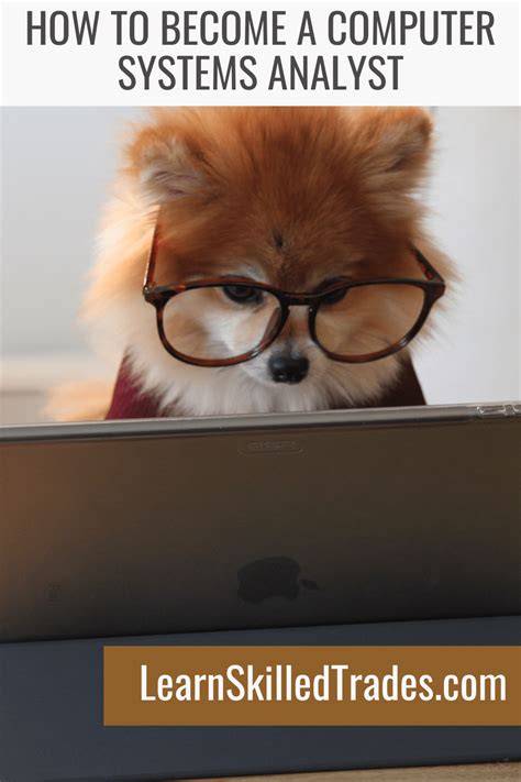 How To Become A Computer Systems Analyst