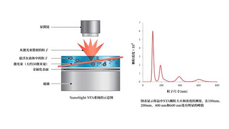 一文读懂nta纳米颗粒跟踪技术 Nta纳米颗粒跟踪分析仪的结果中 Intensity和size Nm 做横纵坐标做的散点图表示什 Csdn博客