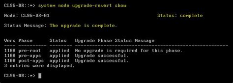 Remote Infrastructure Management NetApp ONTAP Overview