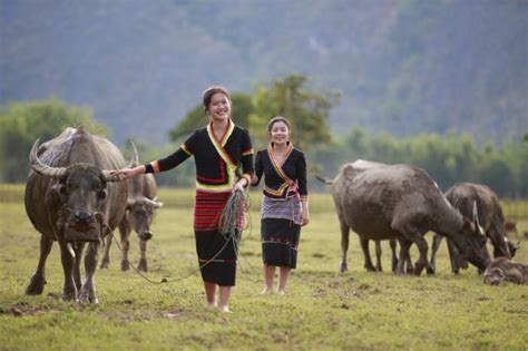 따이 문명과 라오인 이야기 ②그들 조상은 ‘남만이었다