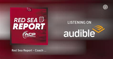 Red Sea Report Coach Autry Denson Breaks Down Cardinals Running Back Depth Red Sea Report