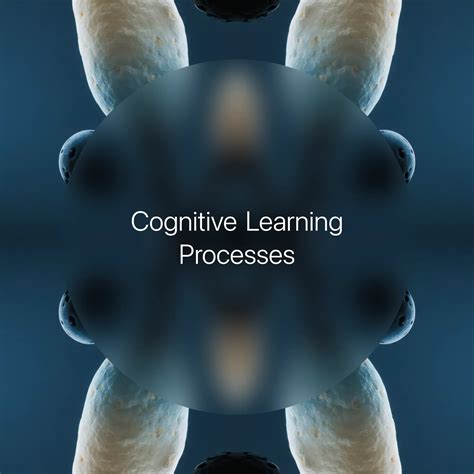 Cognitive Learning Processes → Term
