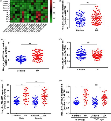 expression of runx2‐derived circrnas in oa serum a among 16 circrna download scientific