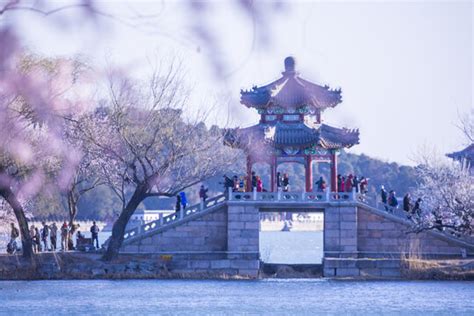 颐和园亭子图片素材 颐和园亭子设计素材 颐和园亭子摄影作品 颐和园亭子源文件下载 颐和园亭子图片素材下载 颐和园亭子背景素材 颐和园亭子模板