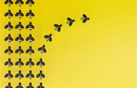 리더십 개념 노란색 배경에 꿀벌을 렌더링 하는 3d 렌더링 날기에 대한 스톡 사진 및 기타 이미지 날기 벌 방향 Istock