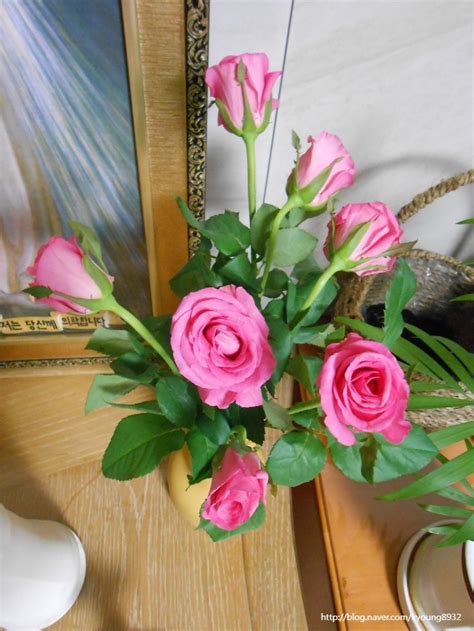 장미꽃 플라워팜팜 생화택배로 장미생화 받아보아요~ 네이버 블로그