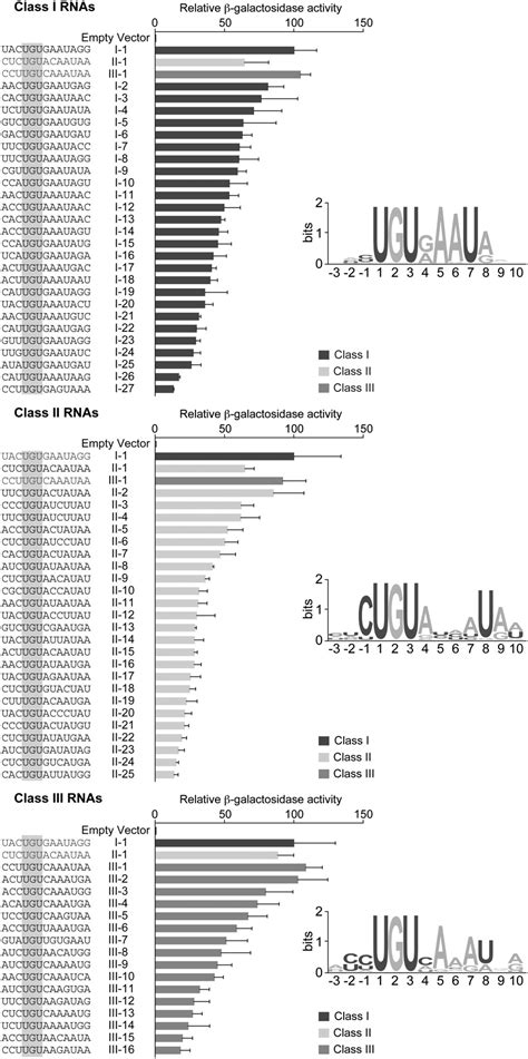 A Single C Elegans Puf Protein Binds Rna In Multiple Modes