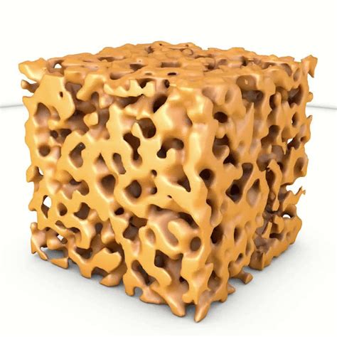 Porous Structure Growth 3d Model Turbosquid 1546357