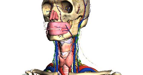 Mozilla Rebuts Microsofts Concern Over Webgl 3d Cnet