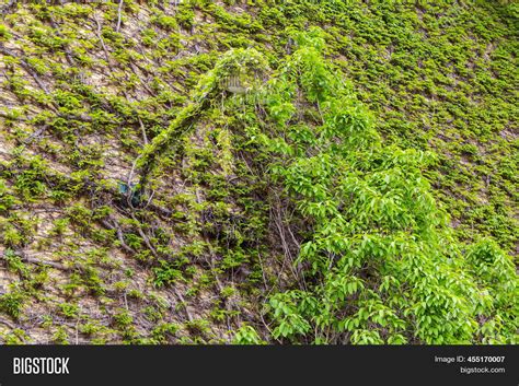 Fragment Building Image Photo Free Trial Bigstock