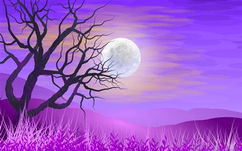 Autumn Tree Without Leaves Wallpaper HD Nature 4K Wallpapers Images