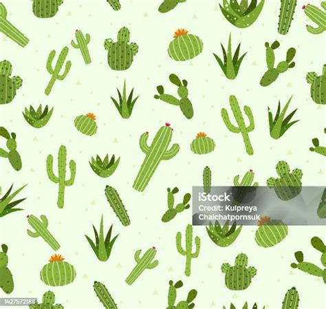 원활한 패턴 선인장 식물의 다양한 종류 녹색 자연 사막에 사는 나무는 자신을 보호하기 위해 주위에 가시가 있습니다 0명에 대한 스톡 벡터 아트 및 기타 이미지 Istock