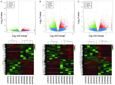 volcano plot and clustering map of de lncrnas upper panel volcano