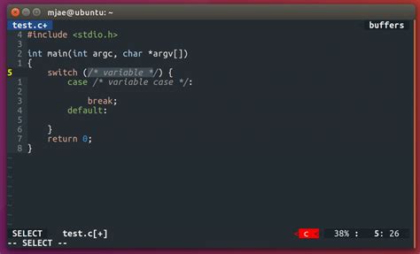 vim Linux 8 UltiSnip과 vim snippets 김명재 Myeongjae Kim