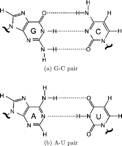 figure 1 1 from inferring rna stem loop descriptors from multiple