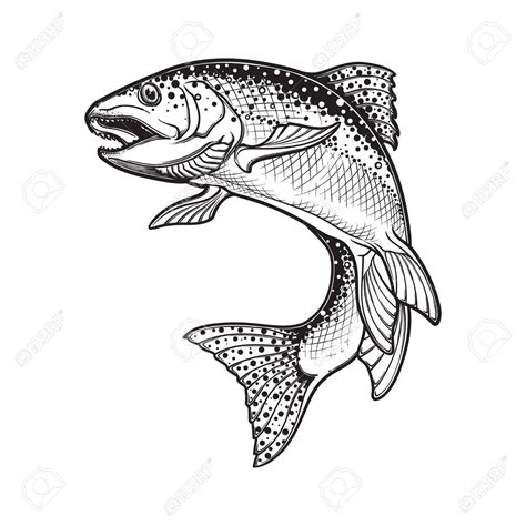 Trout Drawing At Getdrawings Free Download