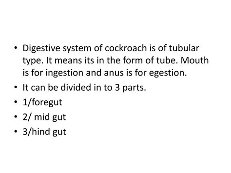 Diagram Of Alimentary And Digestive Glands In Cockroach Pptx